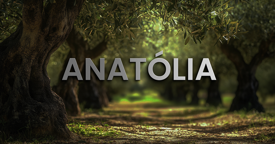 Anatólia: A Essência da Tradição Turca